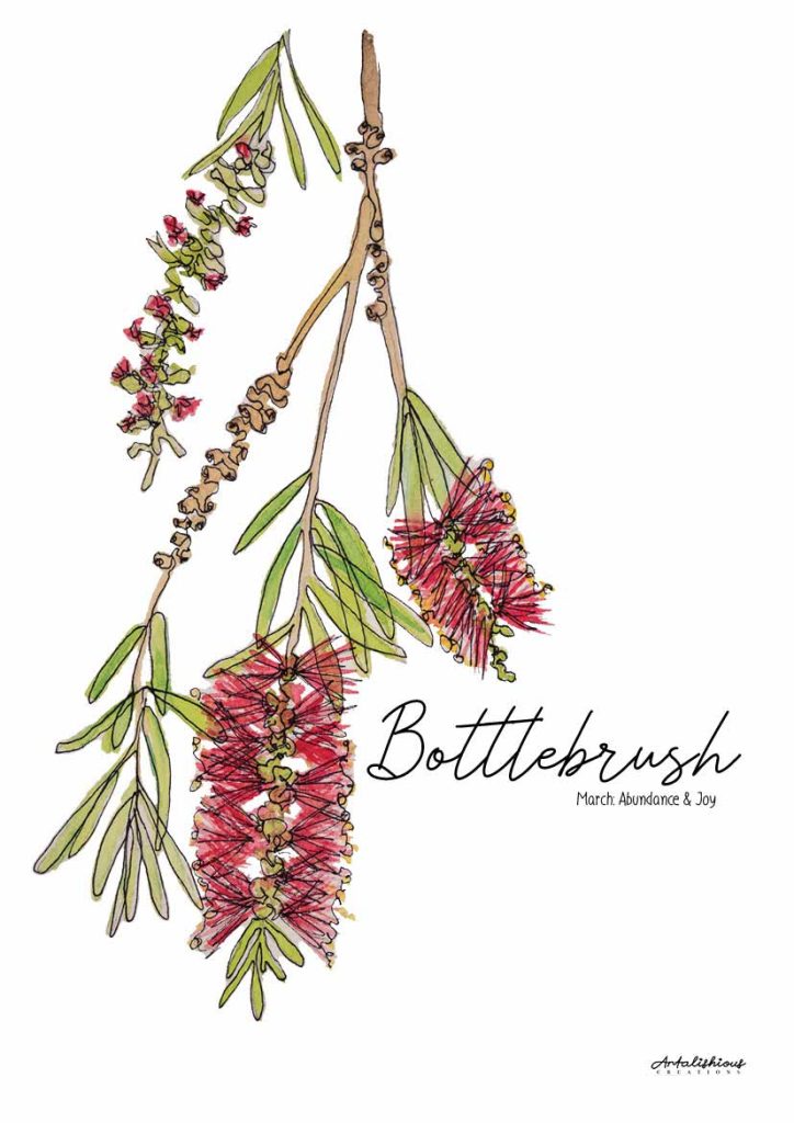 Australian Birth Flower Series: A Collection of Australian Native ...